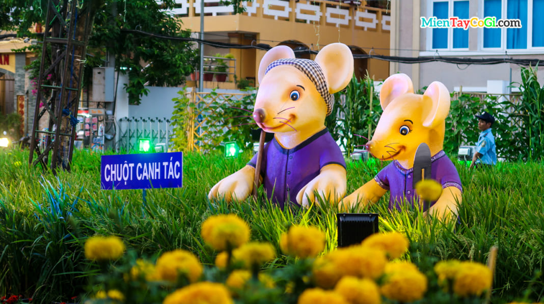 Đường hoa Cần Thơ 2020 Tết Canh Tí | Ở ĐÂU | CÓ GÌ ĐẶC BIỆT